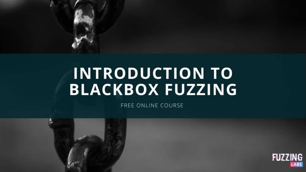 Advanced Fuzzing & Security Online Training | Fuzzing Labs
