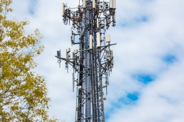 Advanced Fuzzing & Security Online Training | Fuzzing Labs